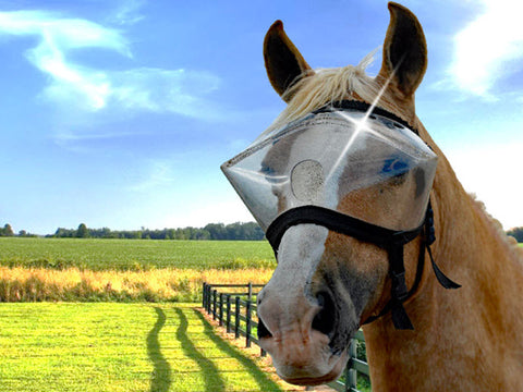 Recovery Vizors - Medical/Preventative Eye Protection for Horses ...
