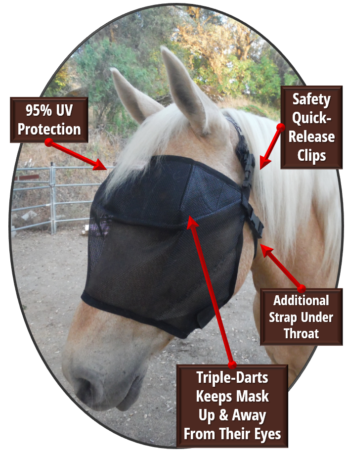 EquiVizor Fly Mask Sizing Guide - Protective Pet Solutions