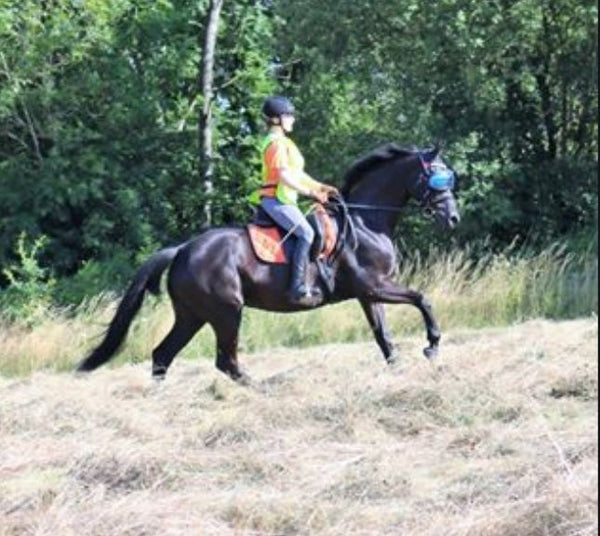 eVysor - UV Horse Riding Goggles! - Trail Riding, Skijoring, Endurance ...